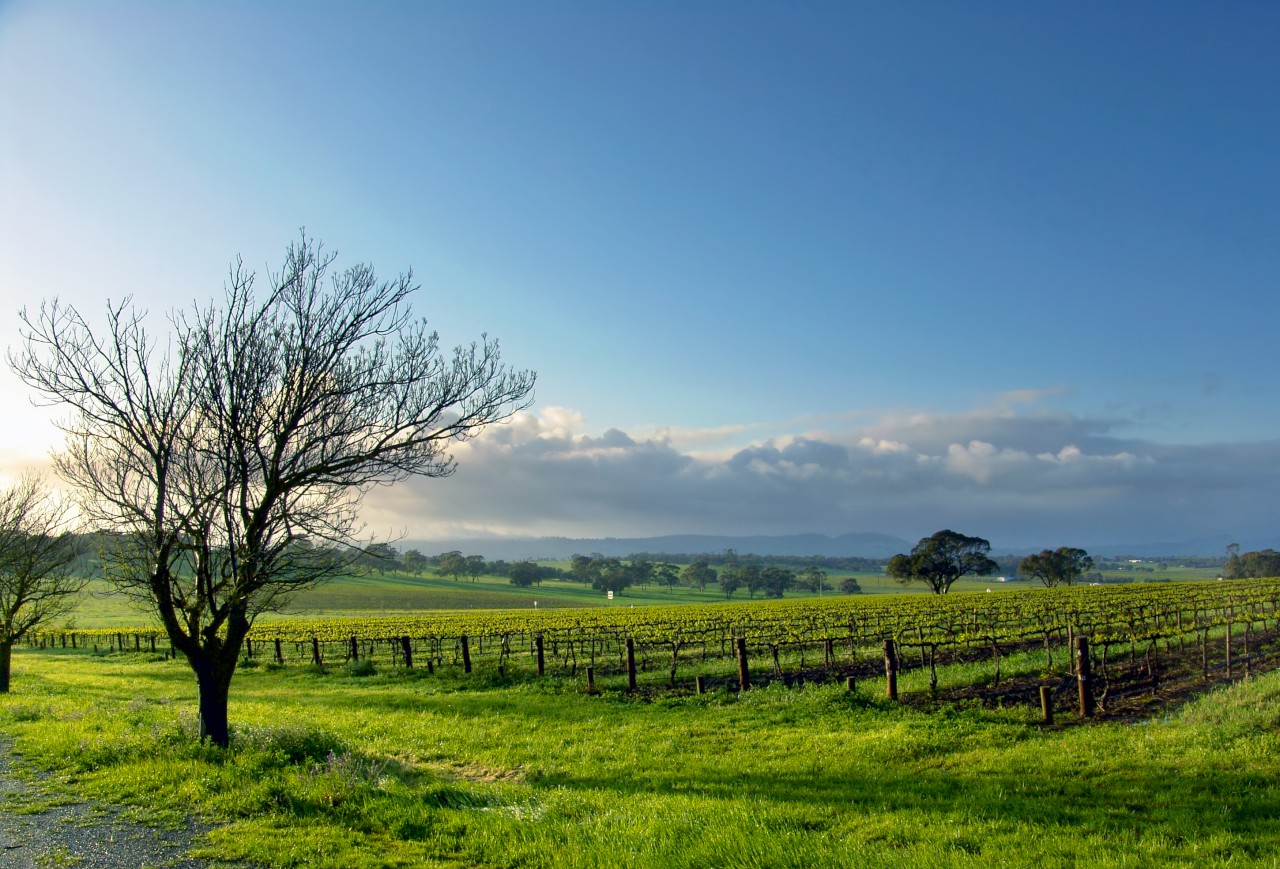 Gumeracha - Home